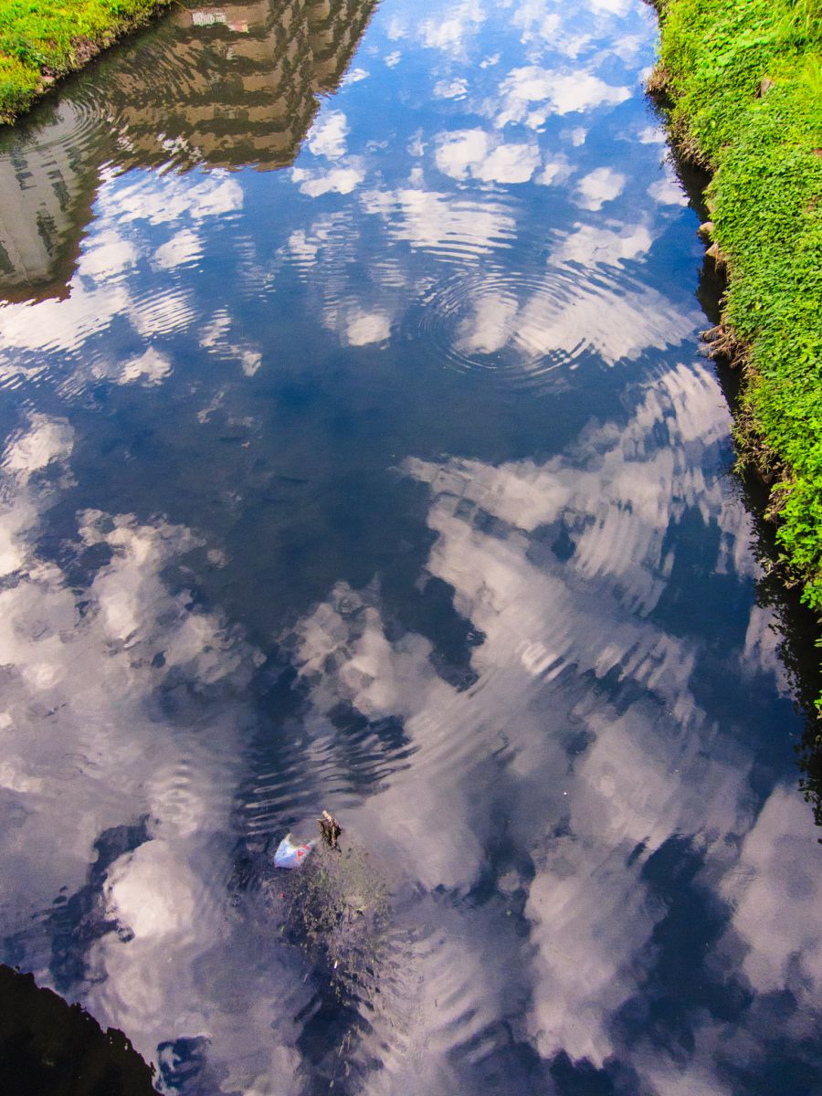 芝川2.jpg | GANREF