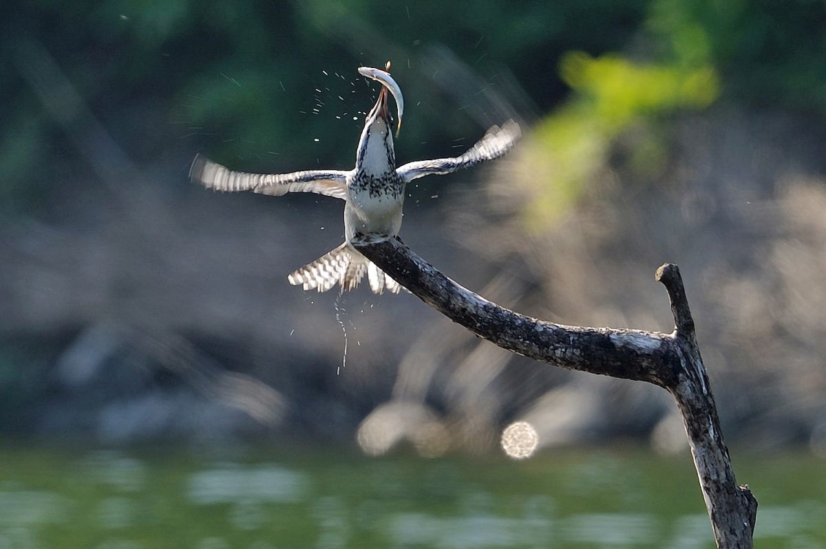 Please, please don't move... | GANREF