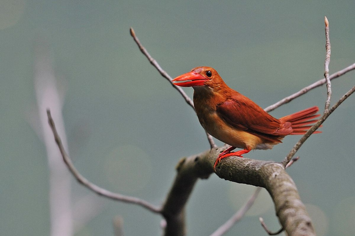 Taking a rest... | GANREF