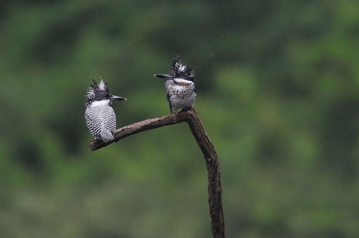 Rendez-vous...3 | GANREF