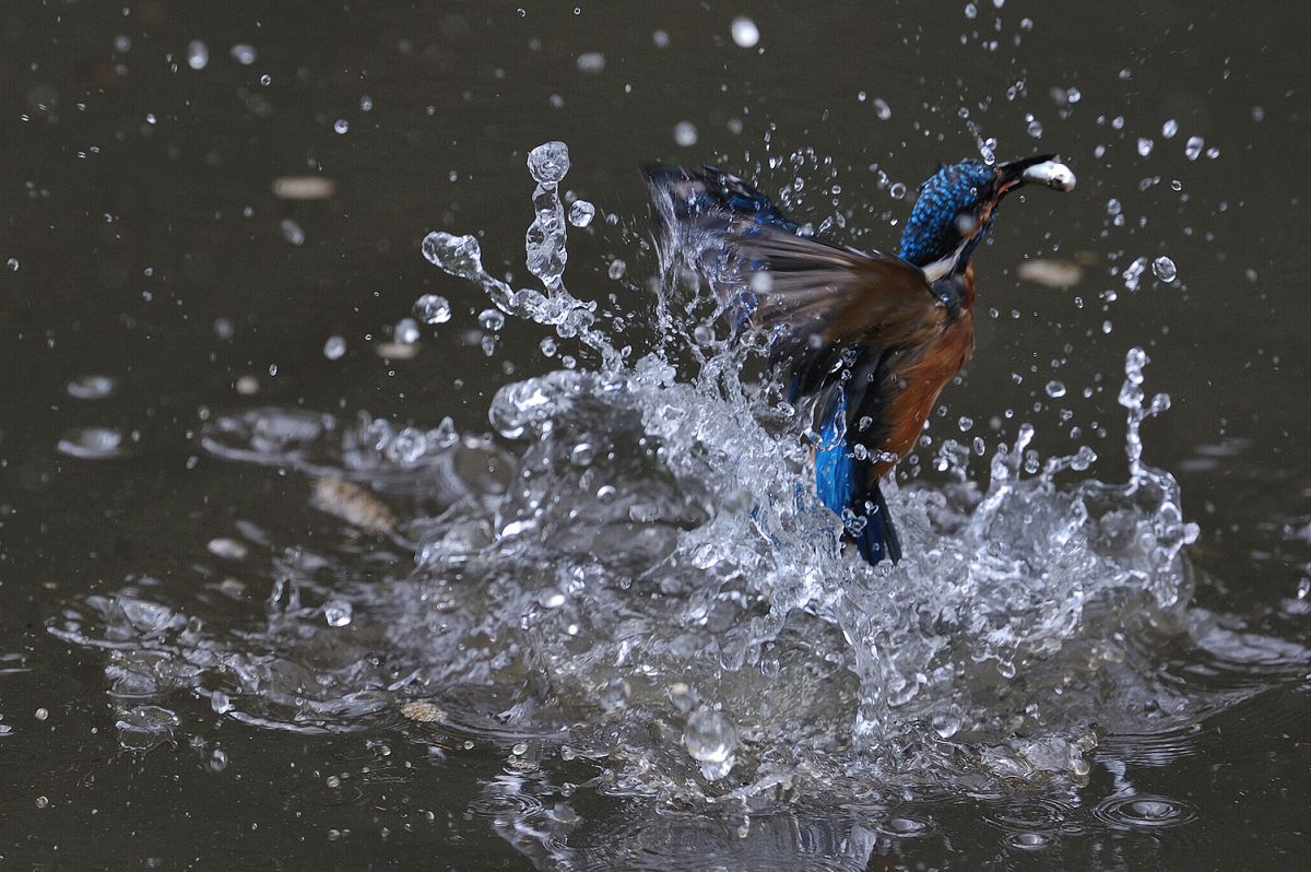 The moment 10 | GANREF