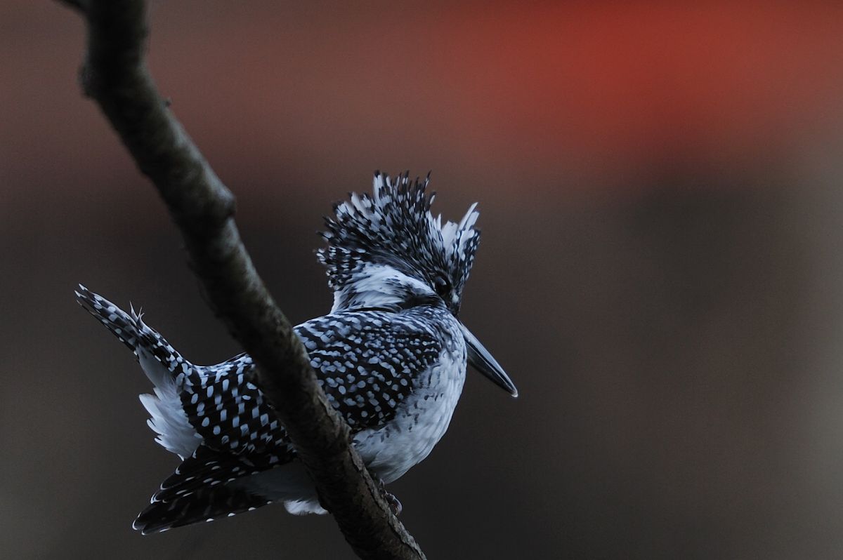 Morning greeting@06:44 | GANREF