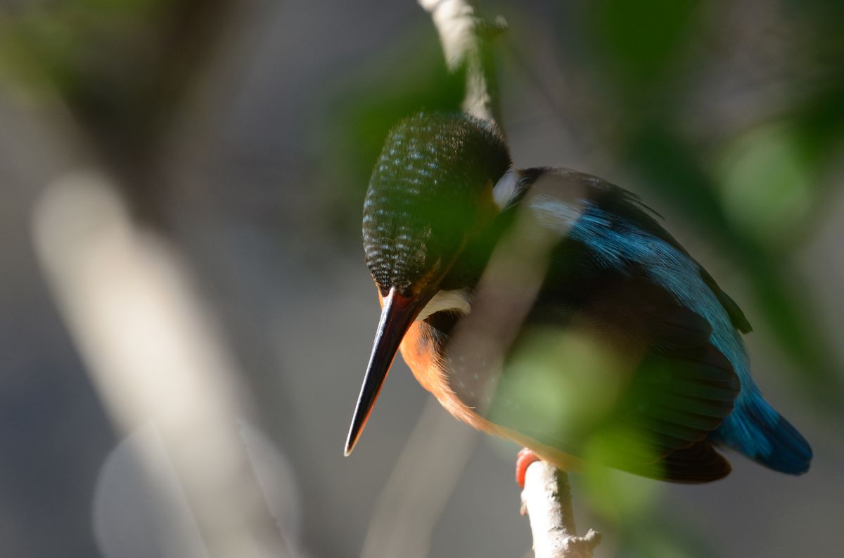 Relaxing... | GANREF