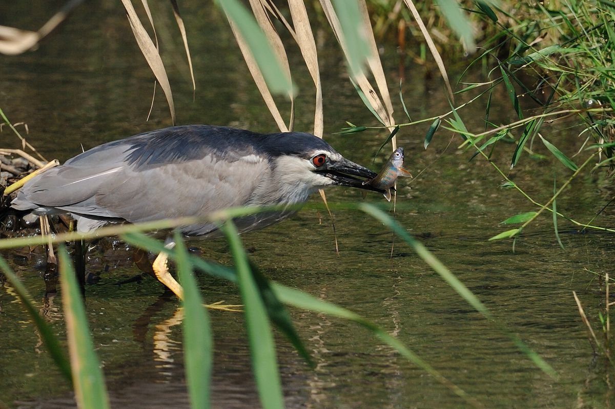 Please forgive me...3 | GANREF