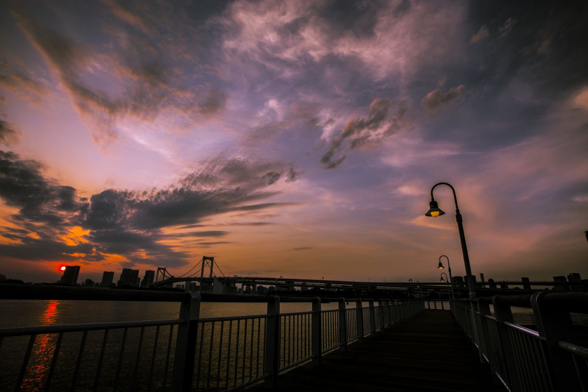 spread one`s wings | GANREF