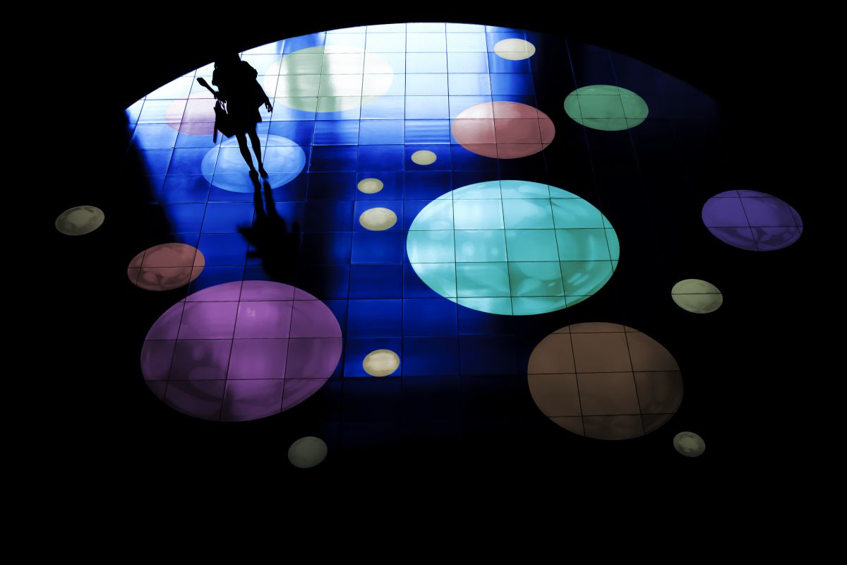 My little cosmo | GANREF