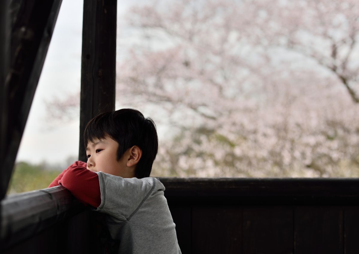 さくら～な気分 | GANREF