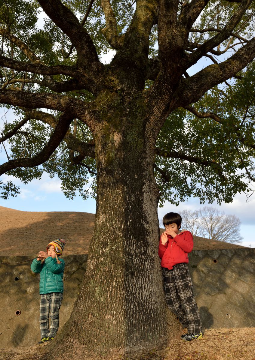 RED＆GREEN | GANREF