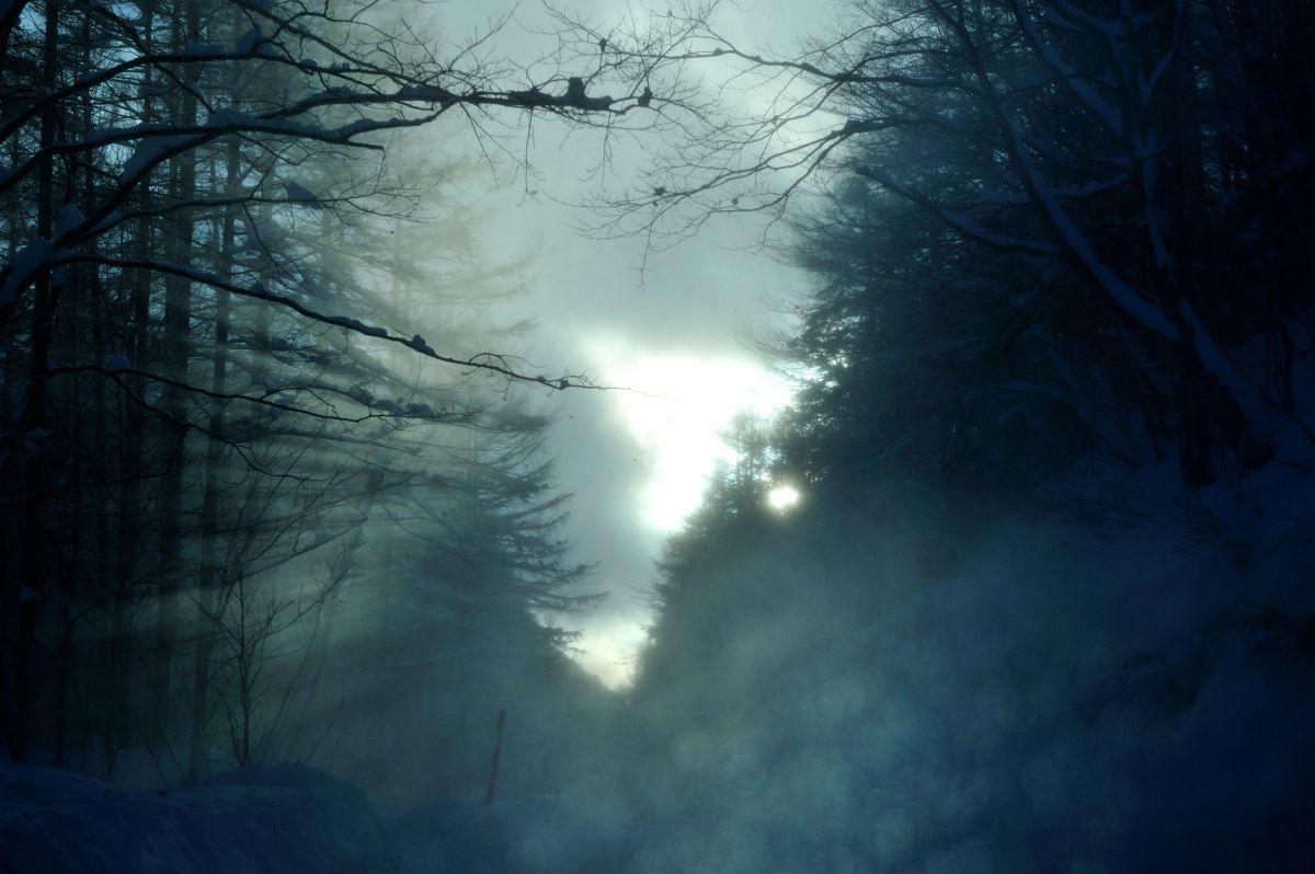 the encounter | GANREF