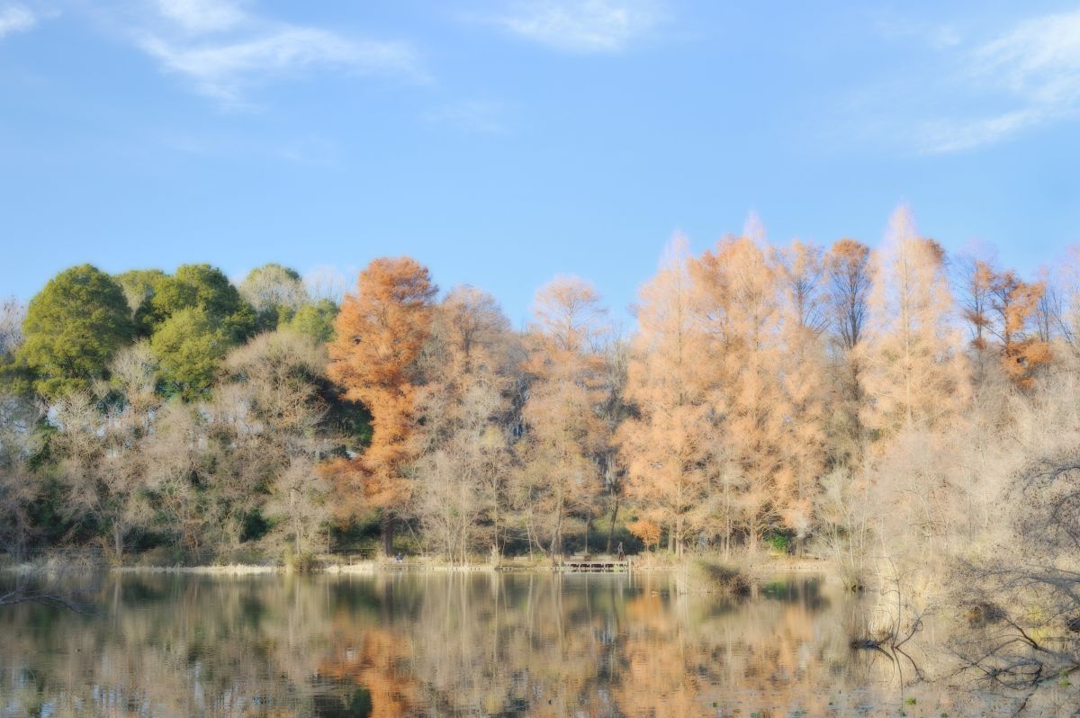 pastel winter | GANREF