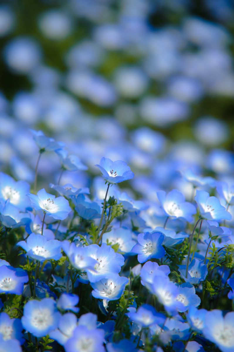 DSC_7380.jpg | GANREF