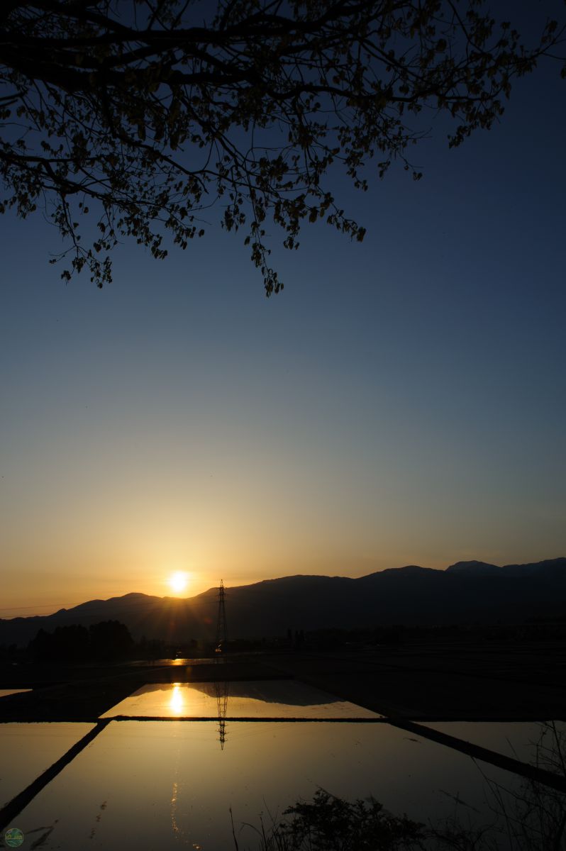 AM5入善PA | GANREF