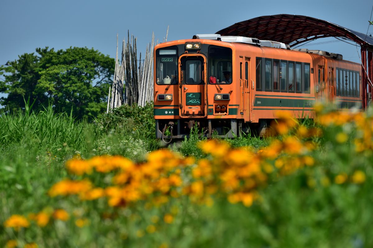 盛夏の津軽 | GANREF