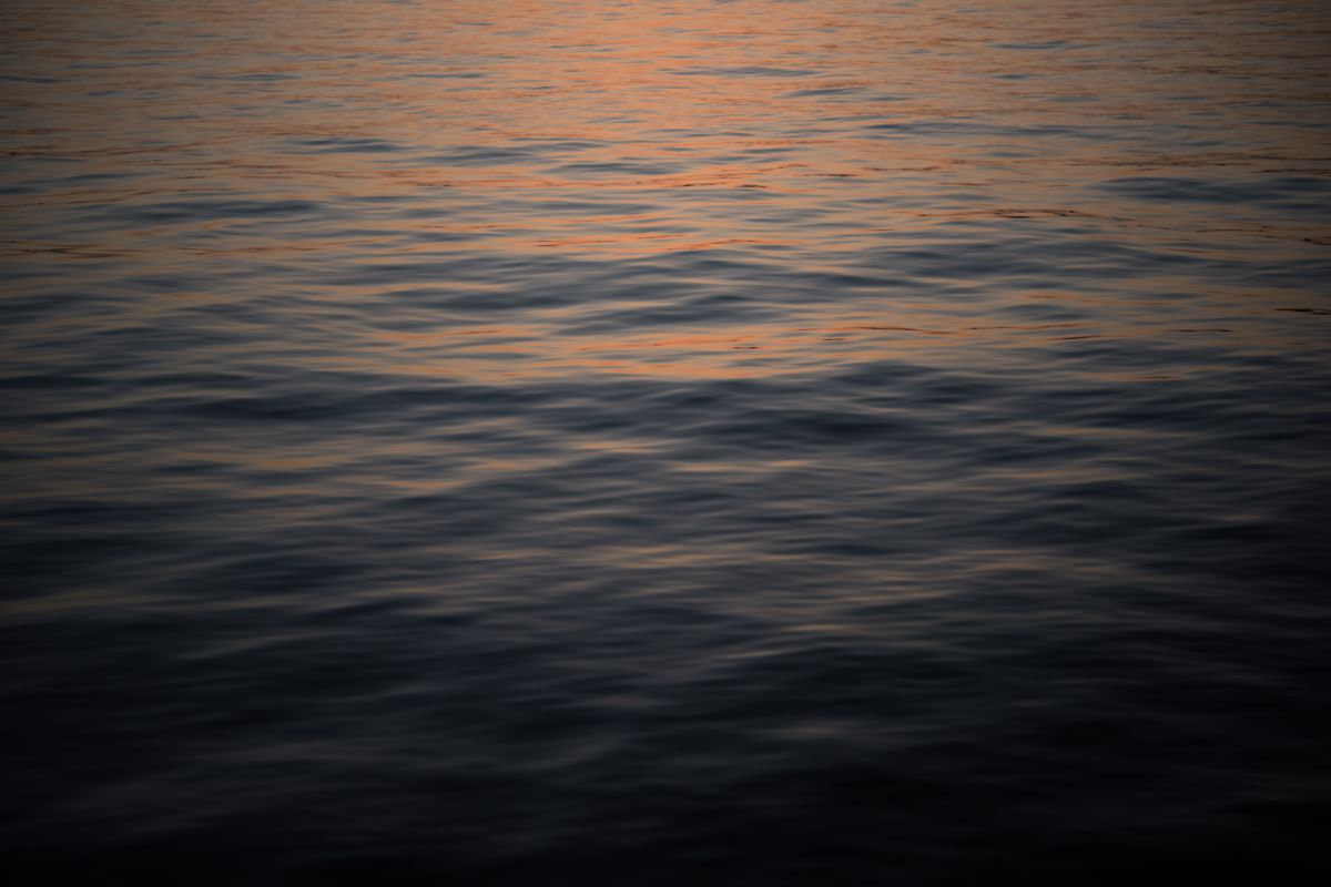 ORANGE WAVE | GANREF