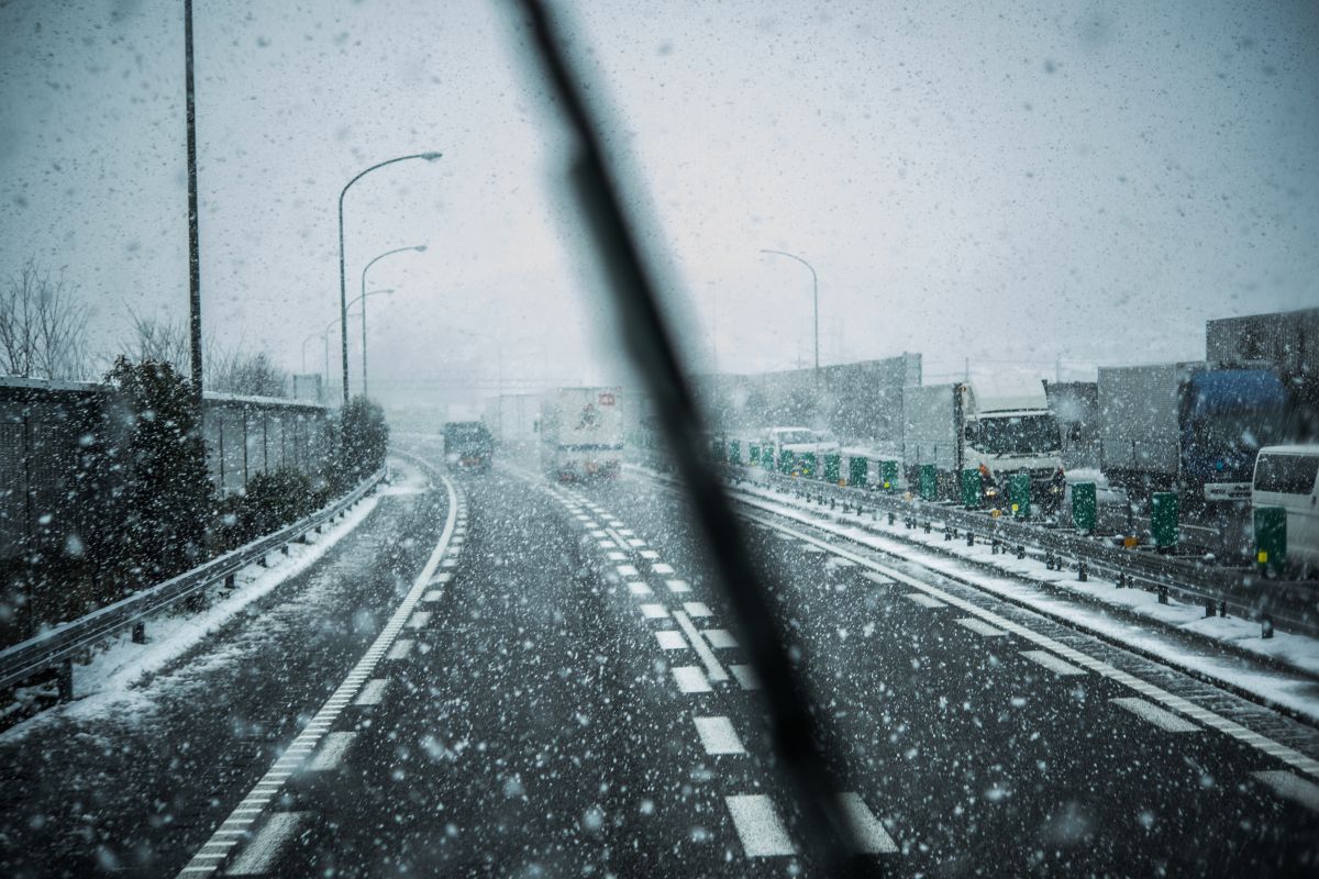 TRUCK DRIVER | GANREF