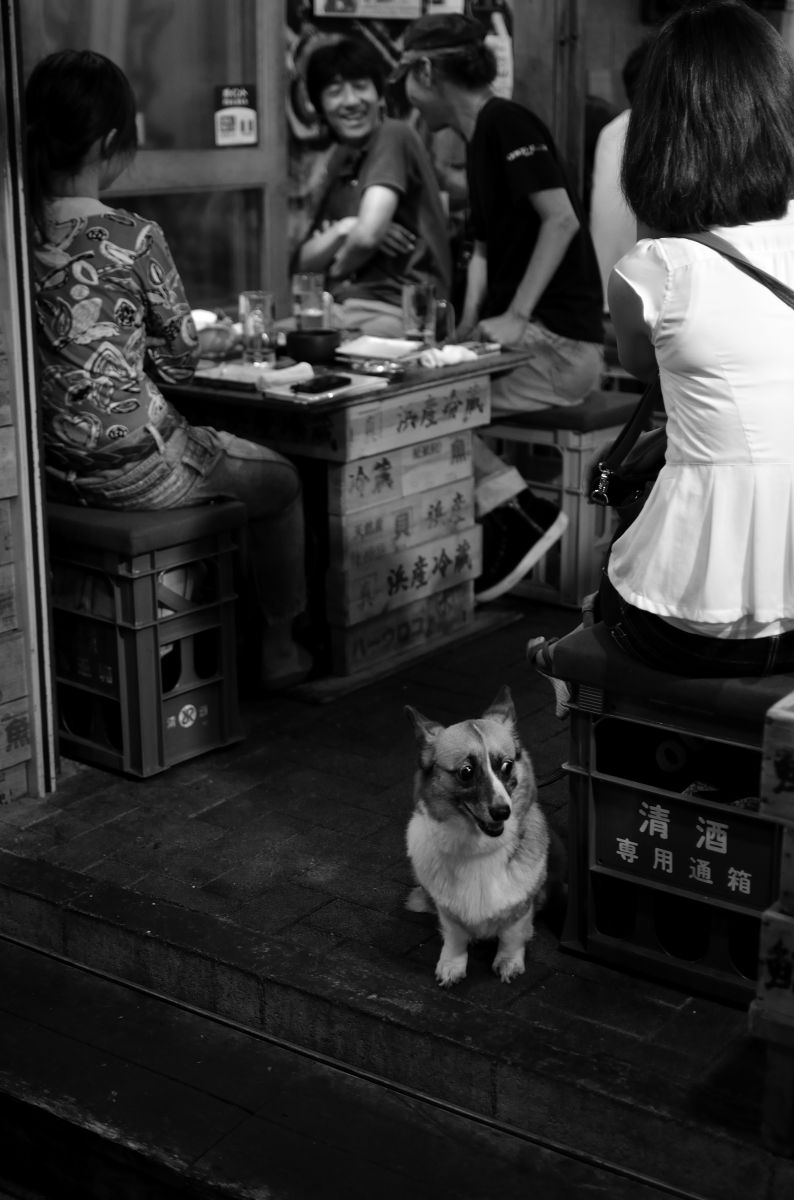 always together | GANREF