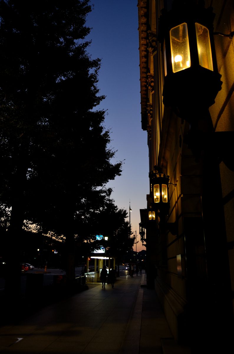 modern classic | GANREF