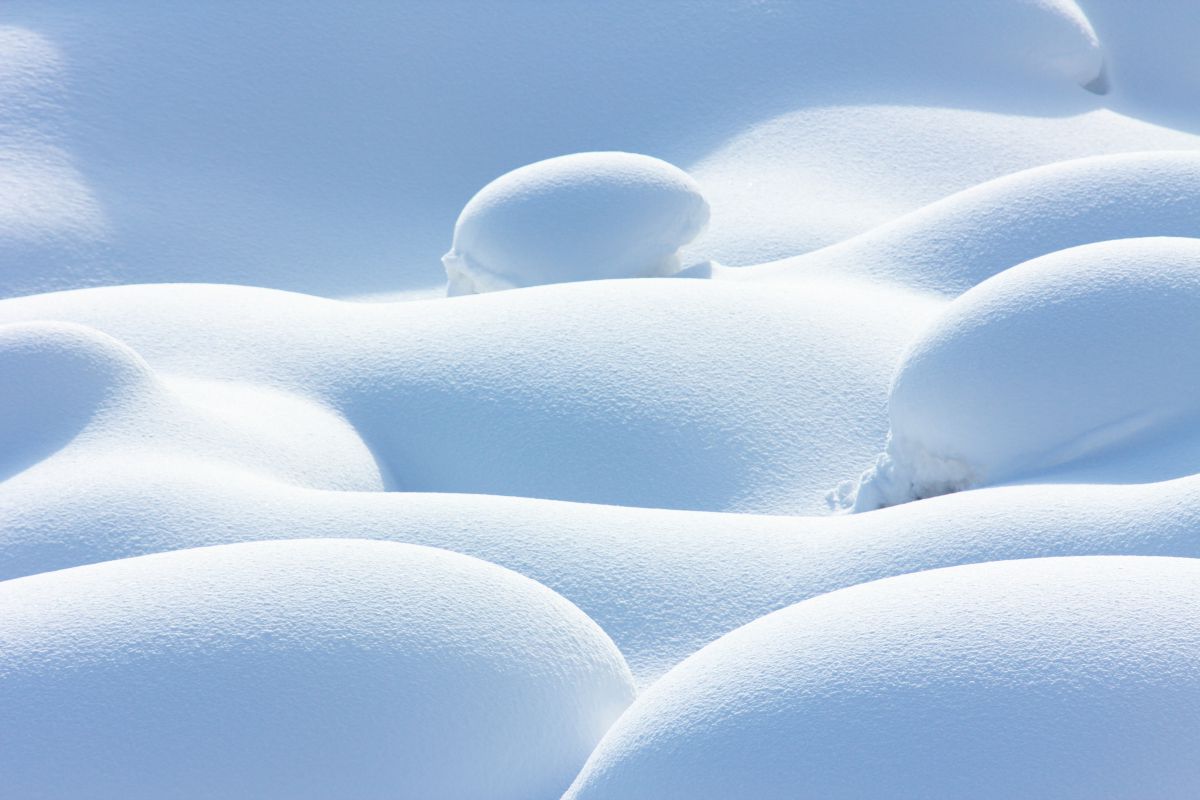 Feminine Form | GANREF