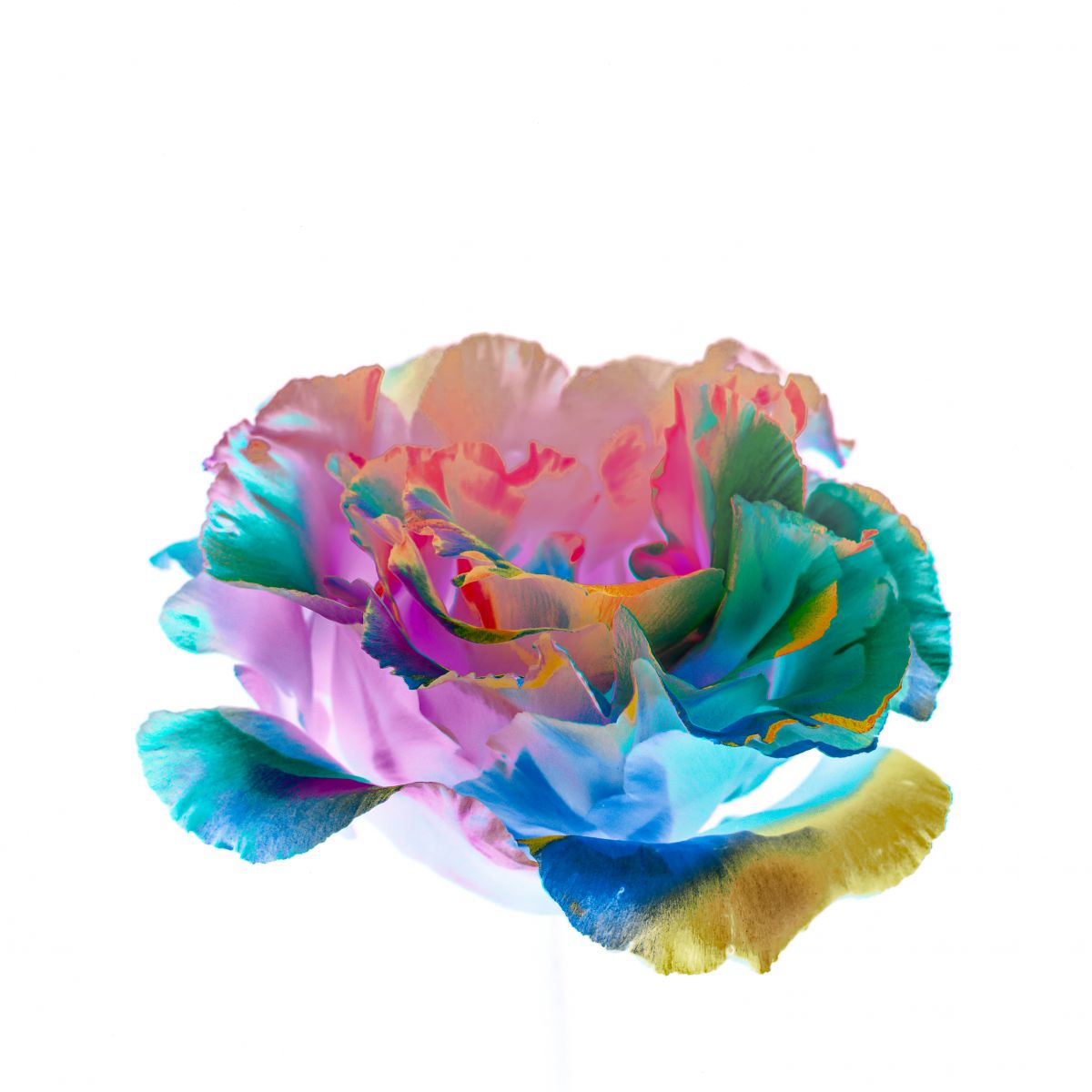 無題162裏 | GANREF