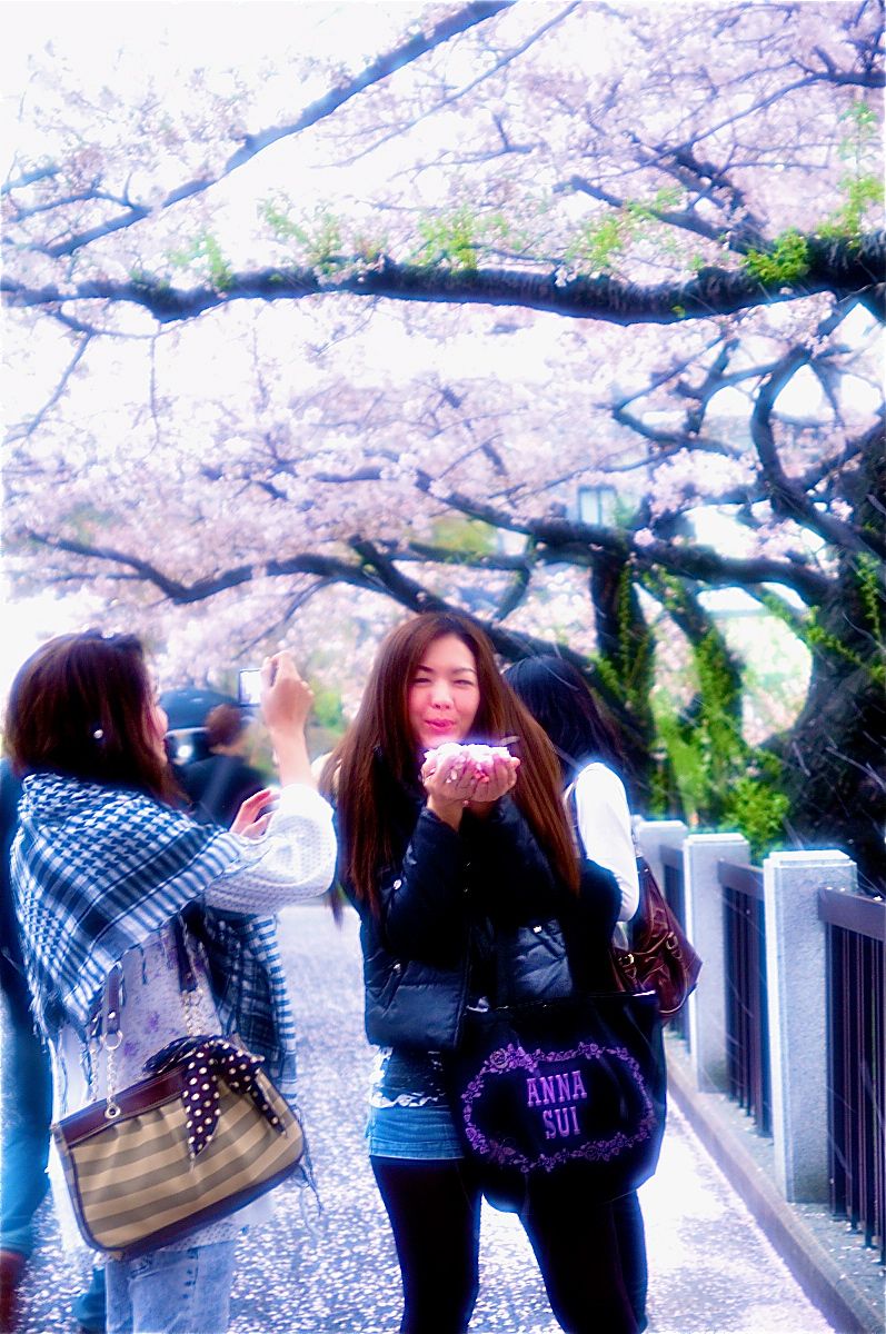 Blow*~petals~ | GANREF