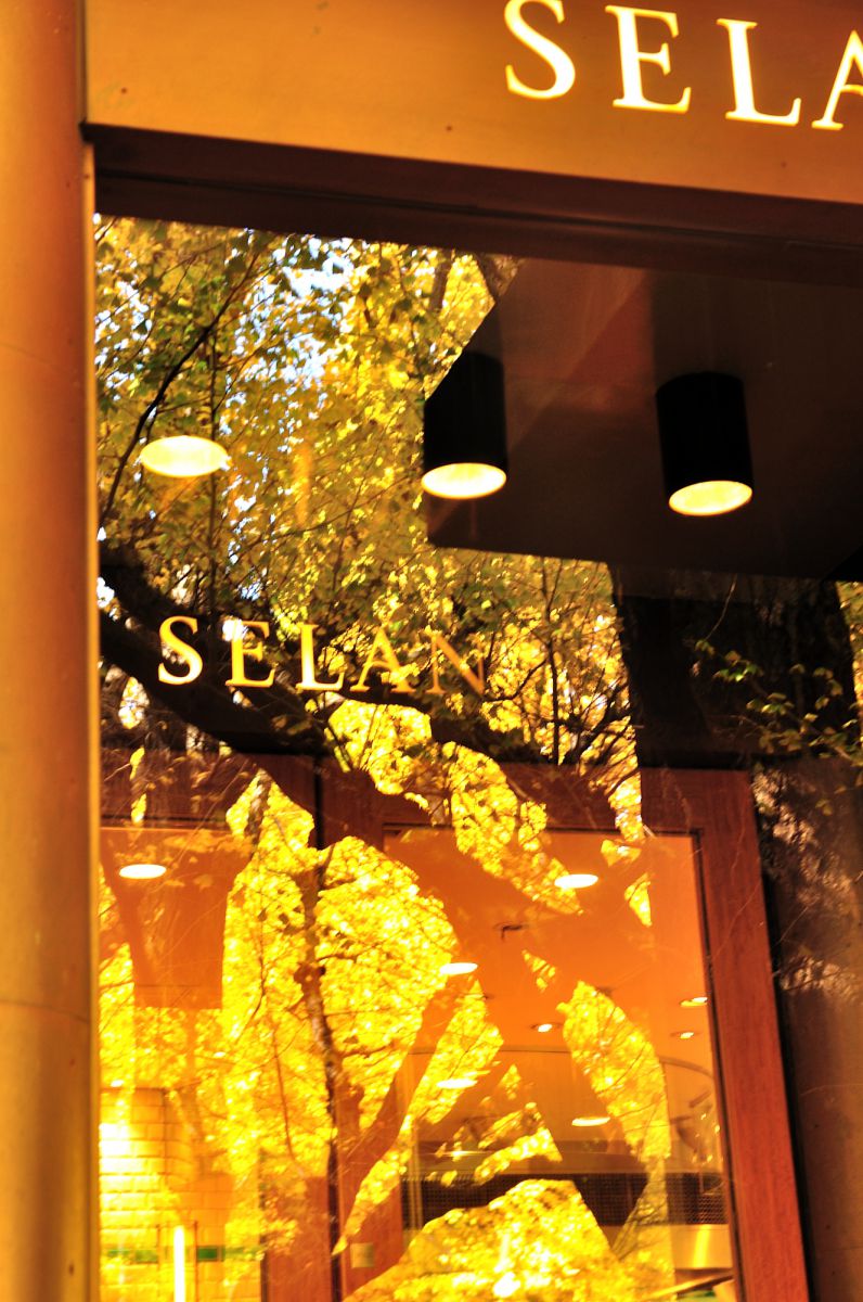 ＊see you＊ | GANREF