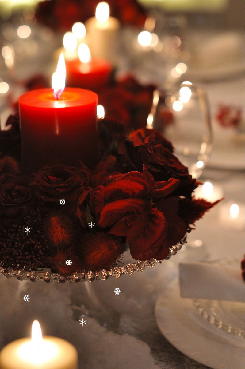 Season's Greetings♪ | GANREF