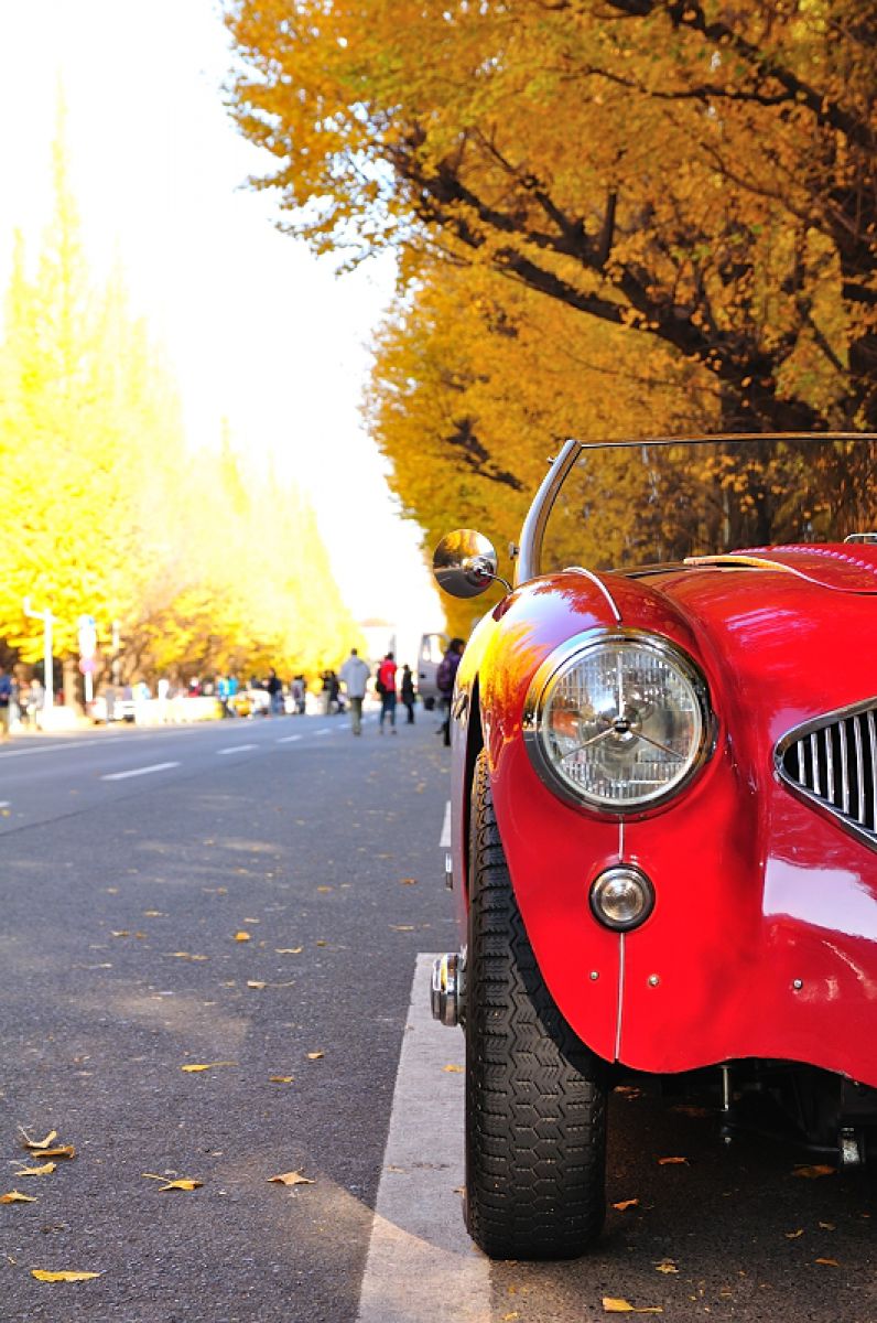 red car＊final autumn | GANREF