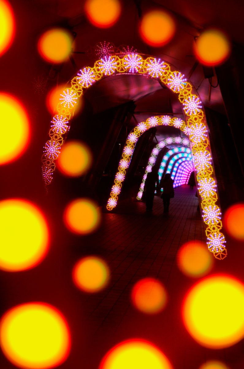 Yellow Polka-dot | GANREF