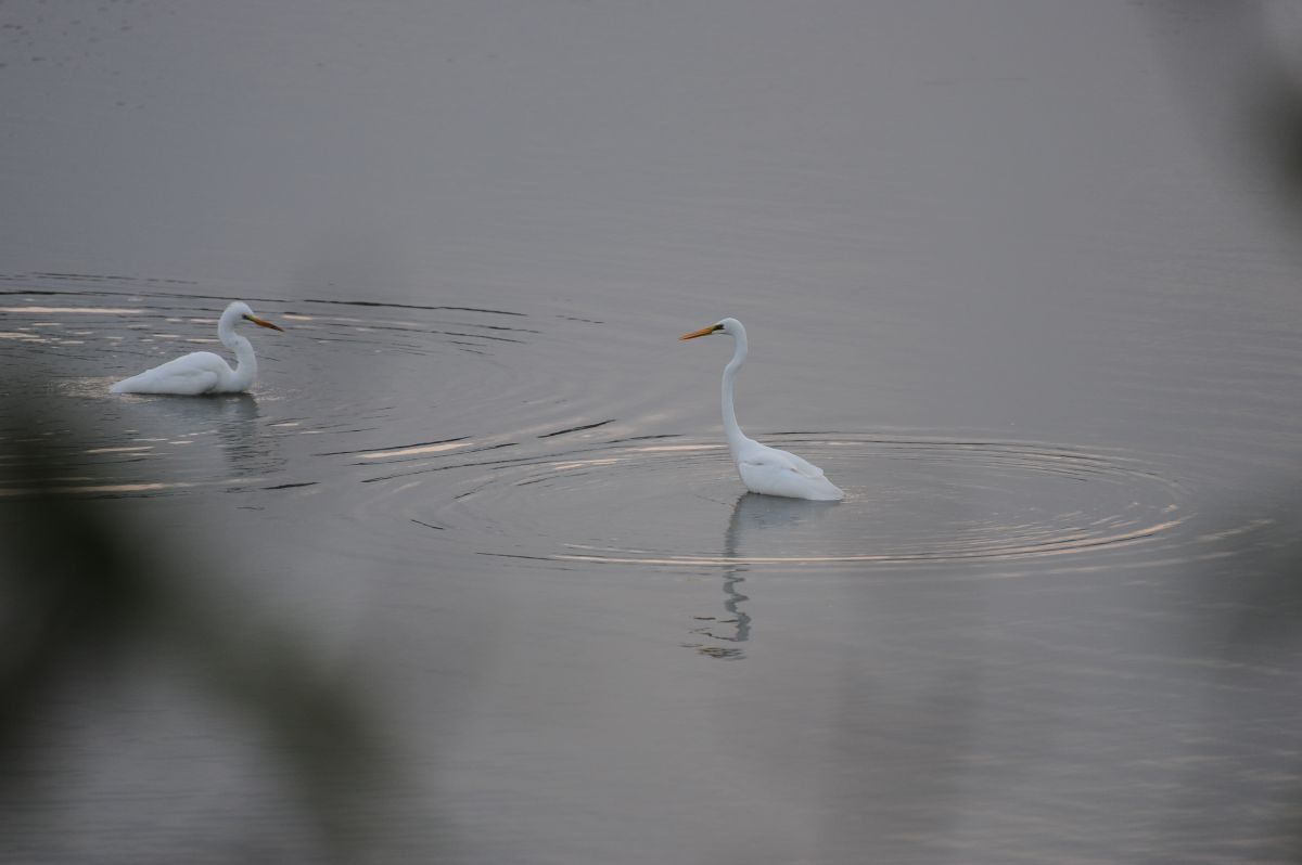 Personal space | GANREF