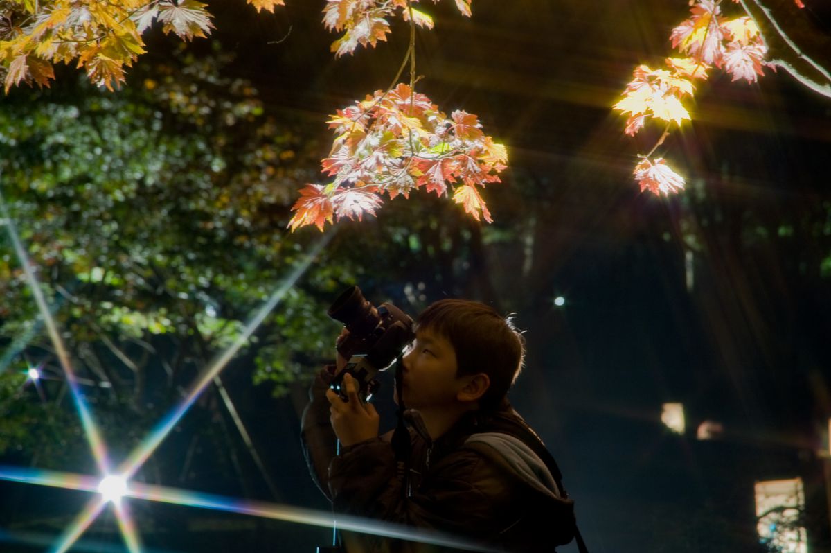 紅葉見ナイト | GANREF