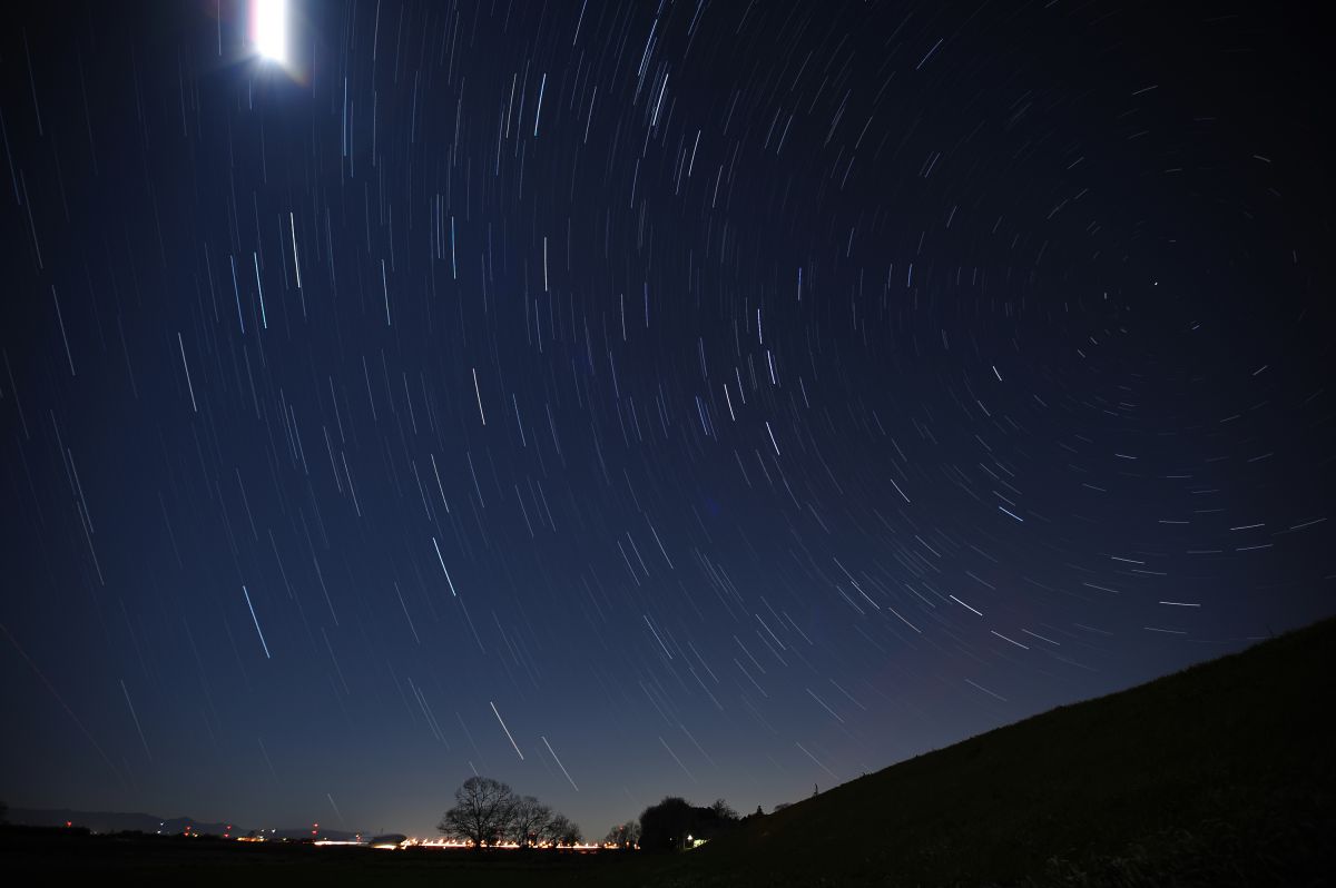 Mr. Moonlight | GANREF