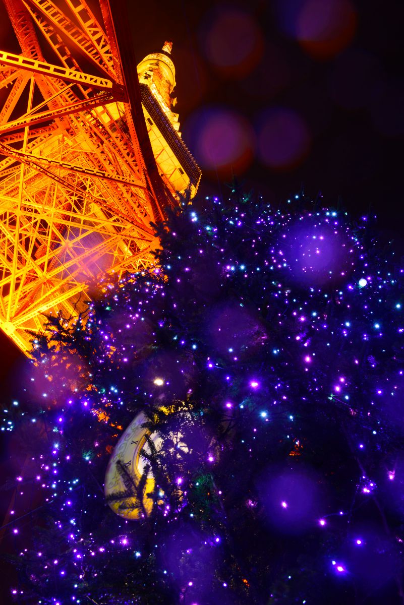 Winter Fantasy | GANREF