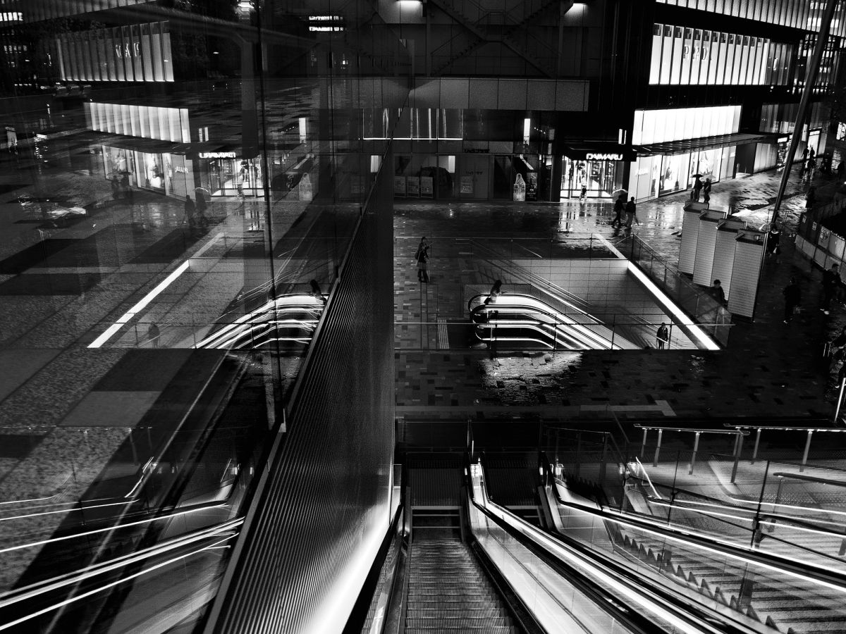 perspective | GANREF