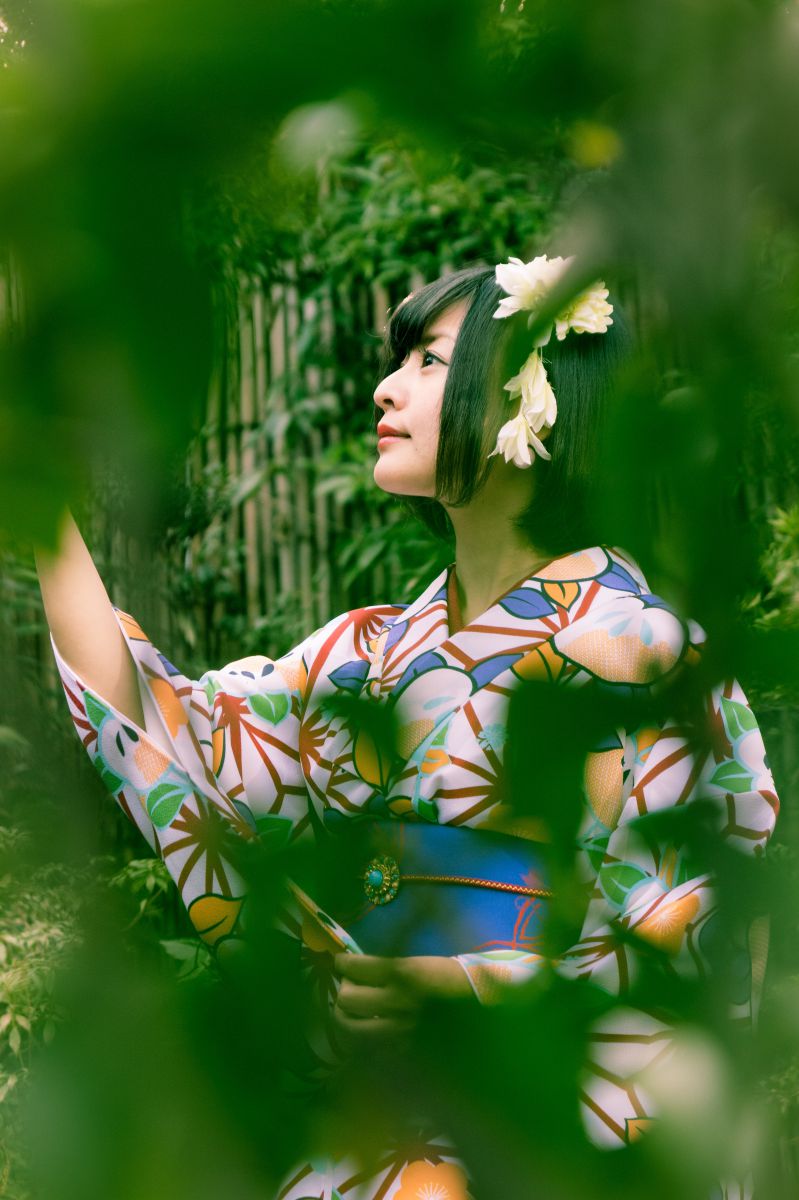 陽だまり | GANREF