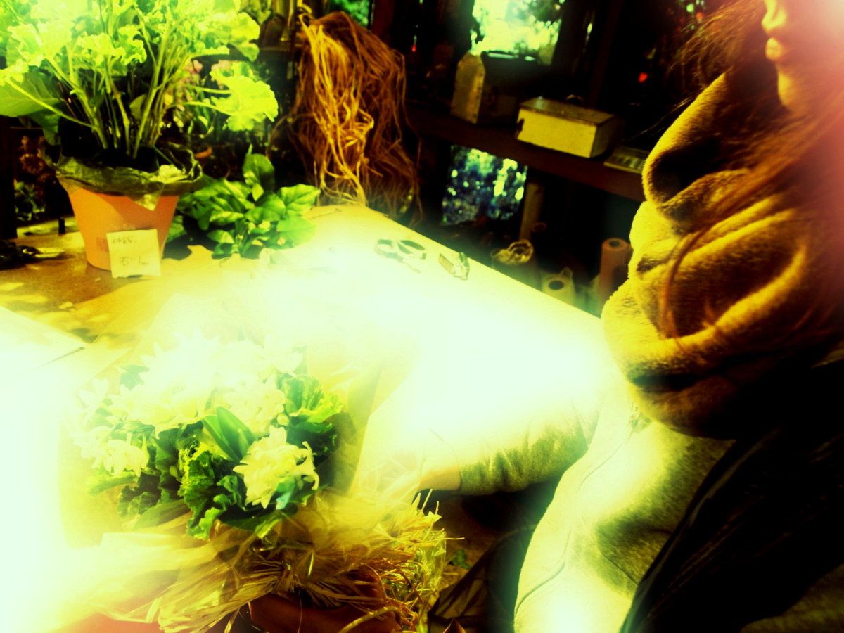 distant memories | GANREF