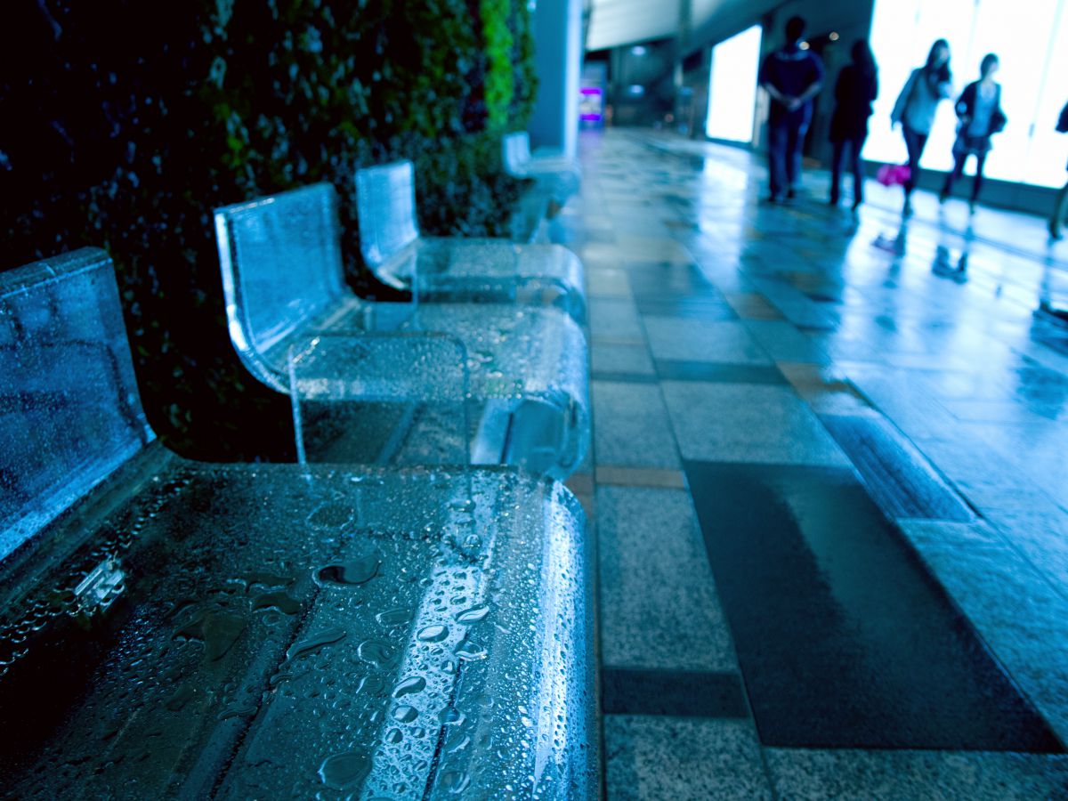 transparency | GANREF