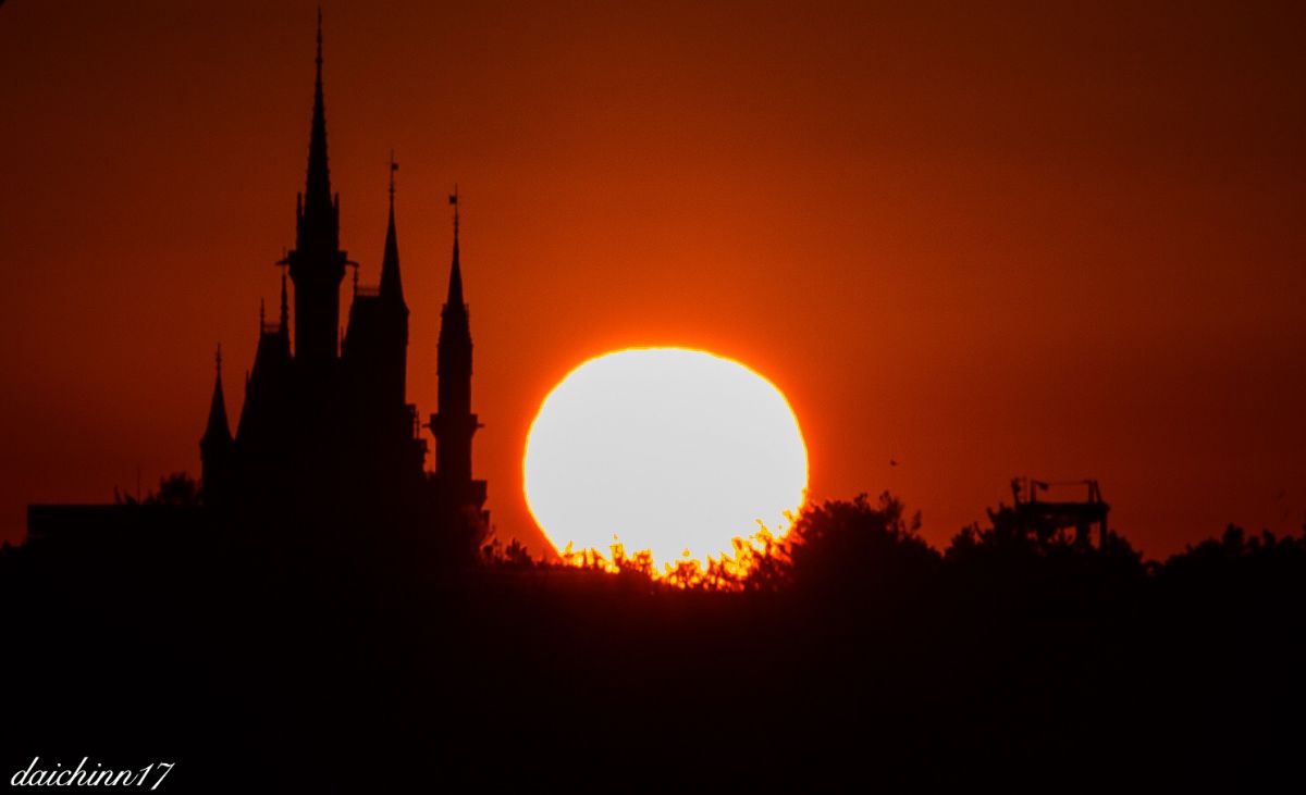 TDLに朝の知らせ | GANREF