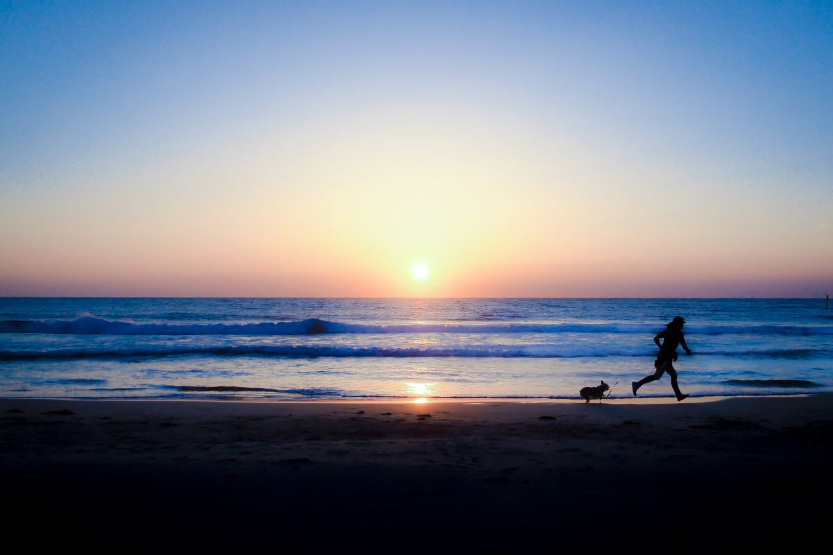 run away・・・・・・・・・ | GANREF