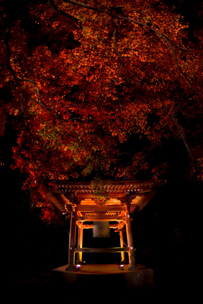 Silent Night | GANREF