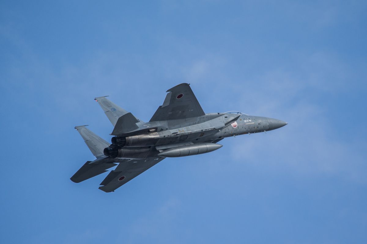 fighter fifteen | GANREF