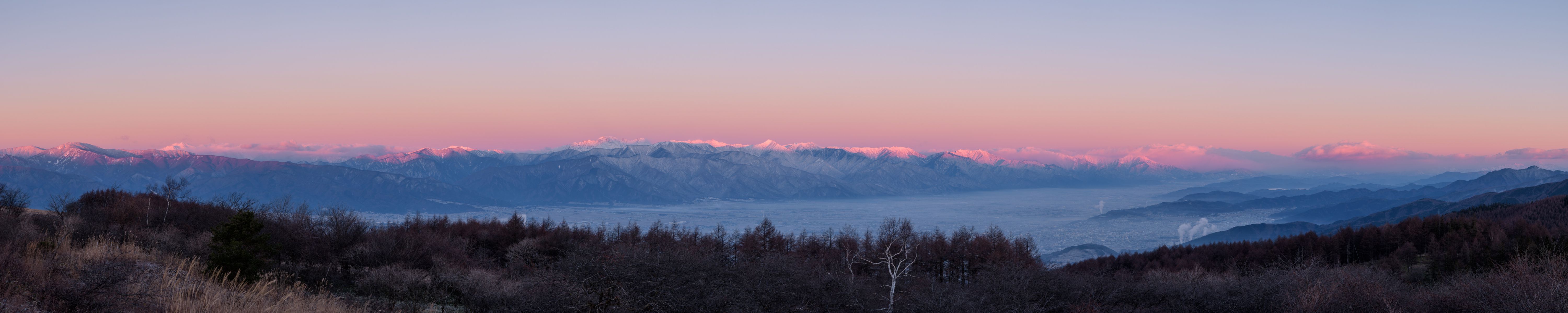 Pinky Gradation | GANREF