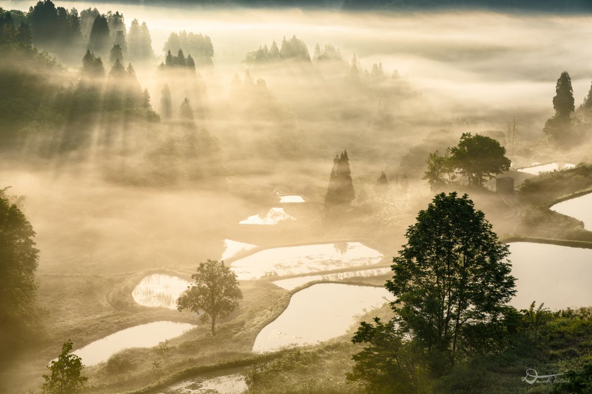 Smooth veil | GANREF