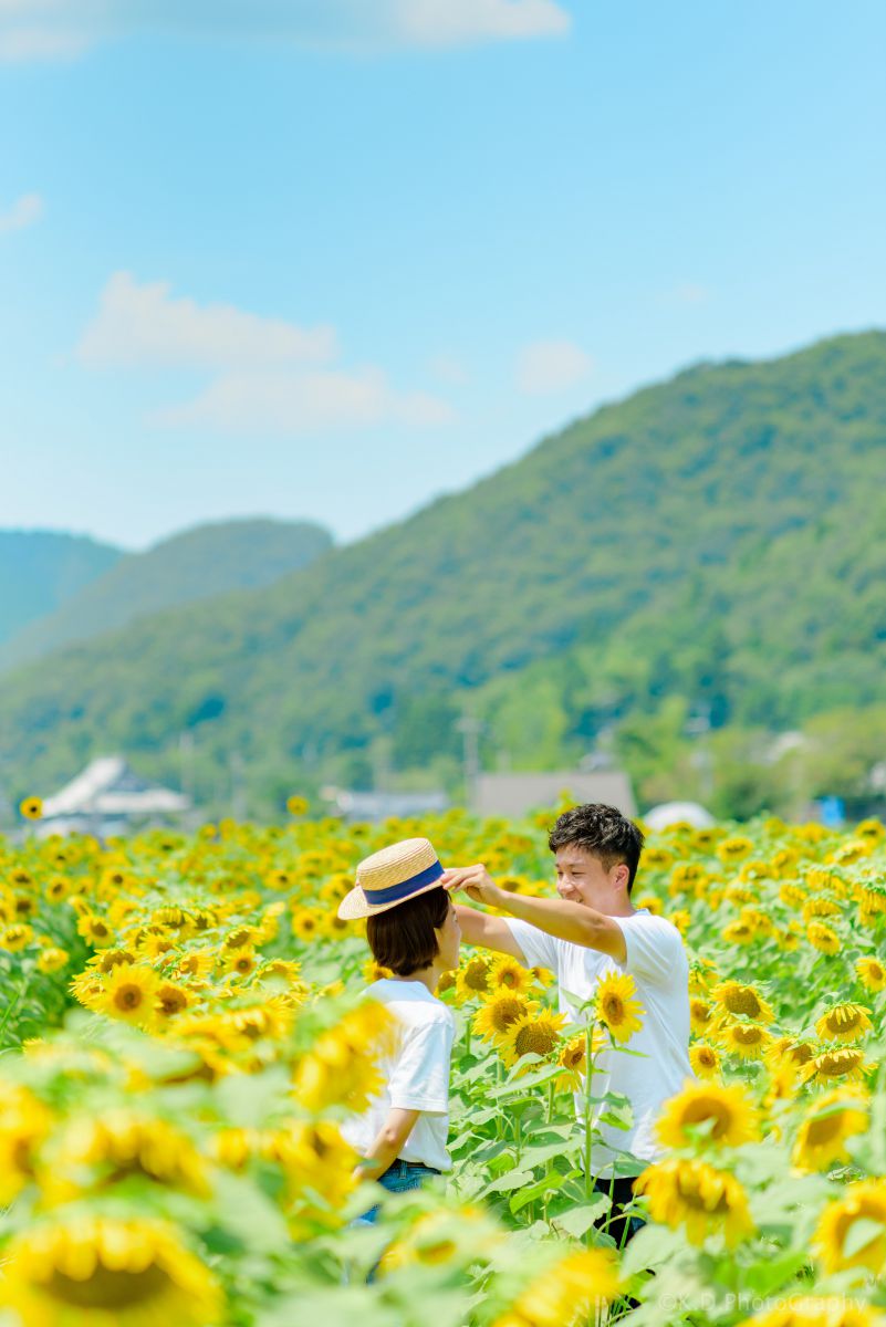 Summer time memory | GANREF