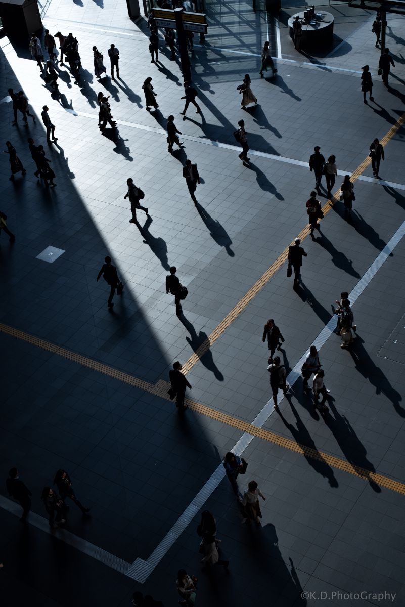 Light and Shadow | GANREF