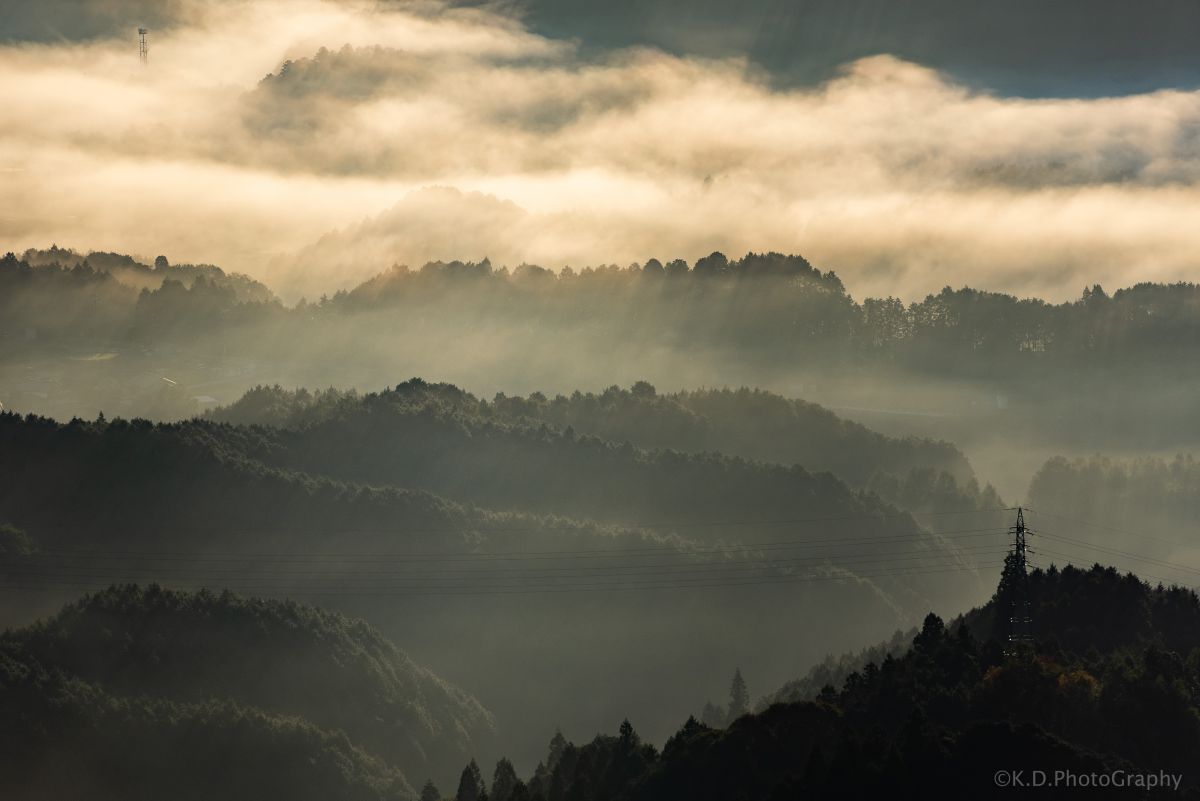 In the thin cloud | GANREF