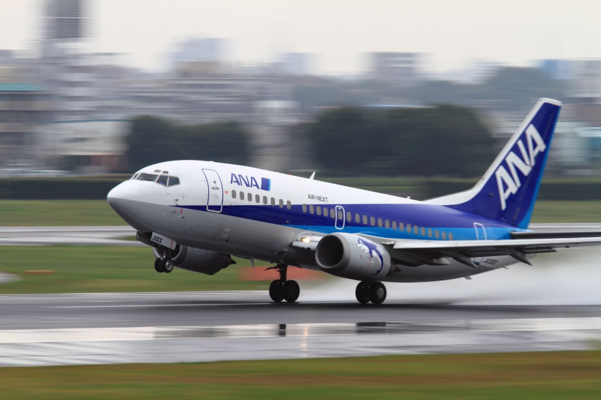 SUPER DOLPHIN | GANREF