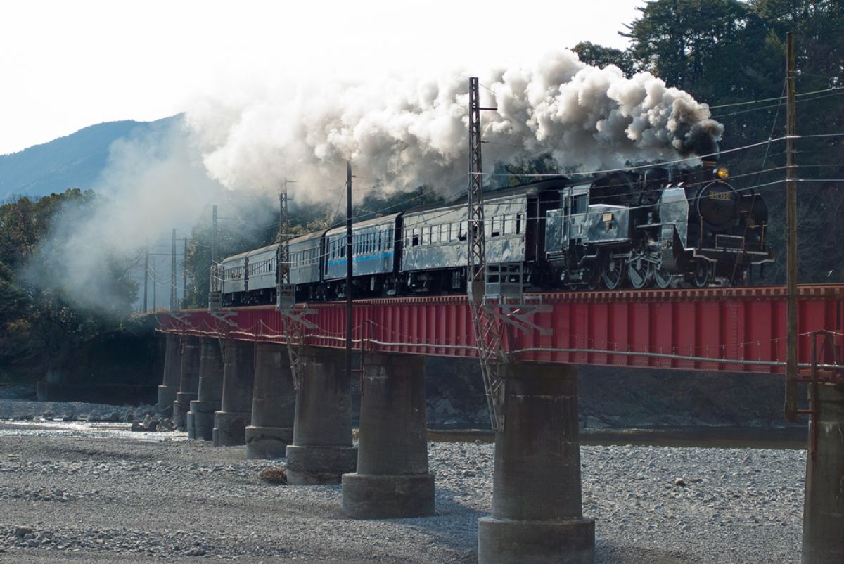 大井川鉄道C11 | GANREF