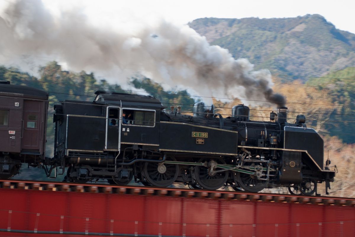 大井川鉄道 C11 | GANREF