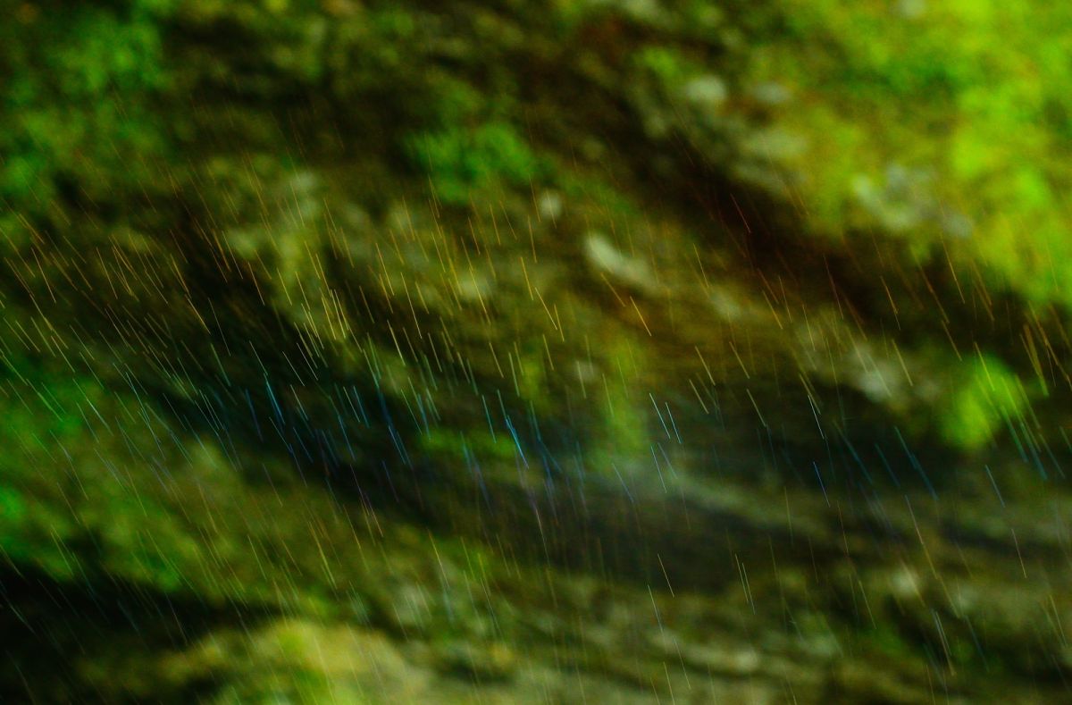 The rain in May | GANREF