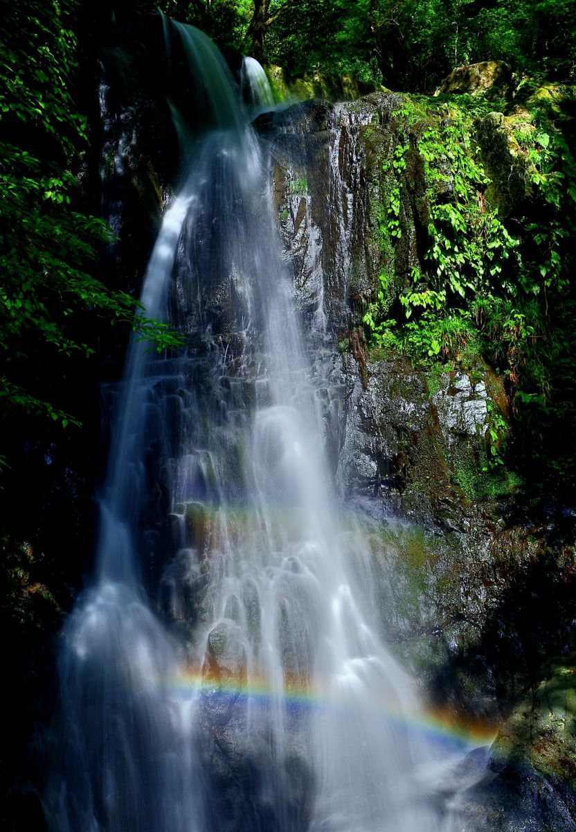 Double rainbow | GANREF